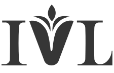 UI/UX Design - Product and Branding Agency